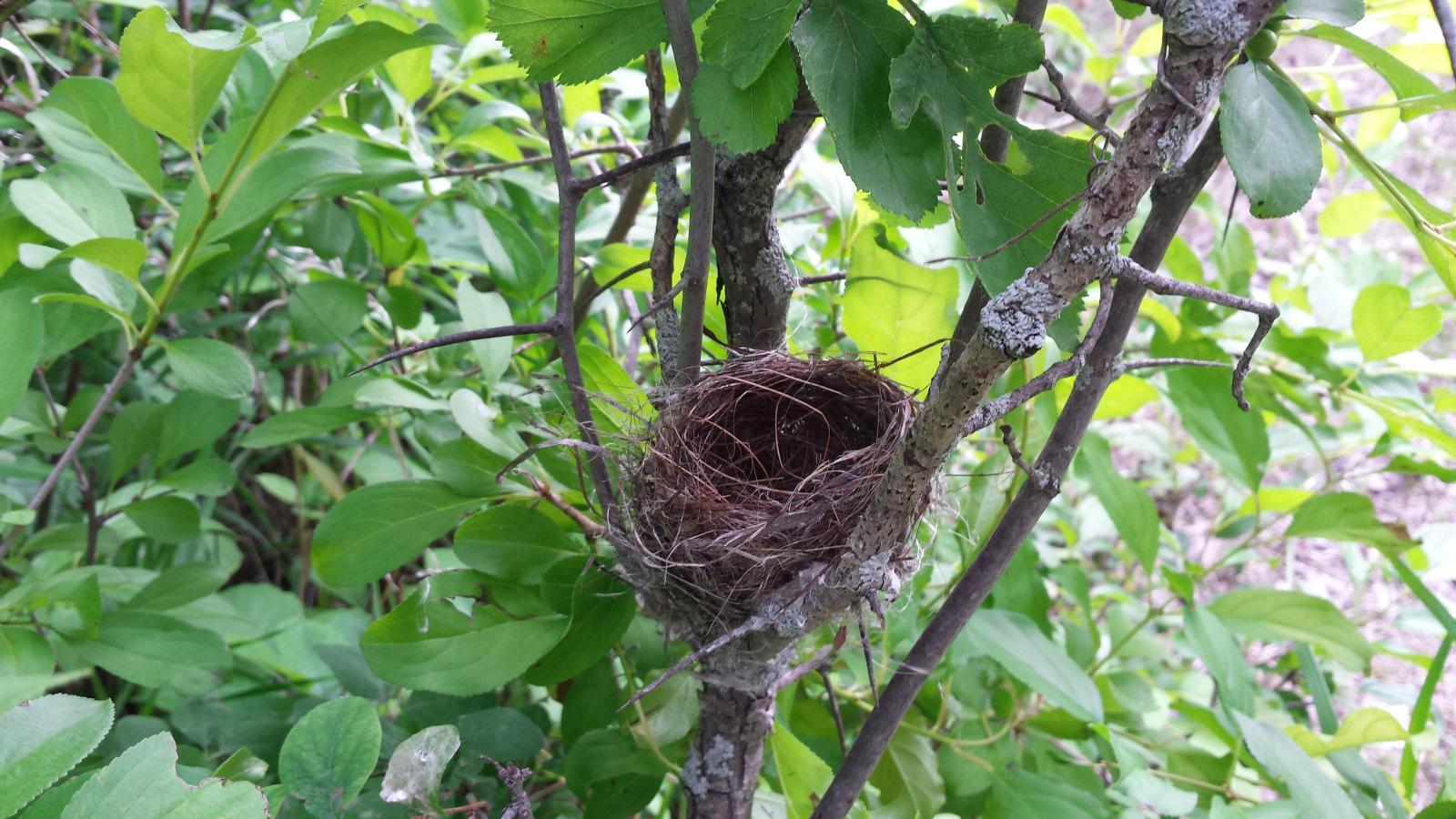 Tickets for Build It Day Camp (7-8 year olds) in Arvilla from North Dakota