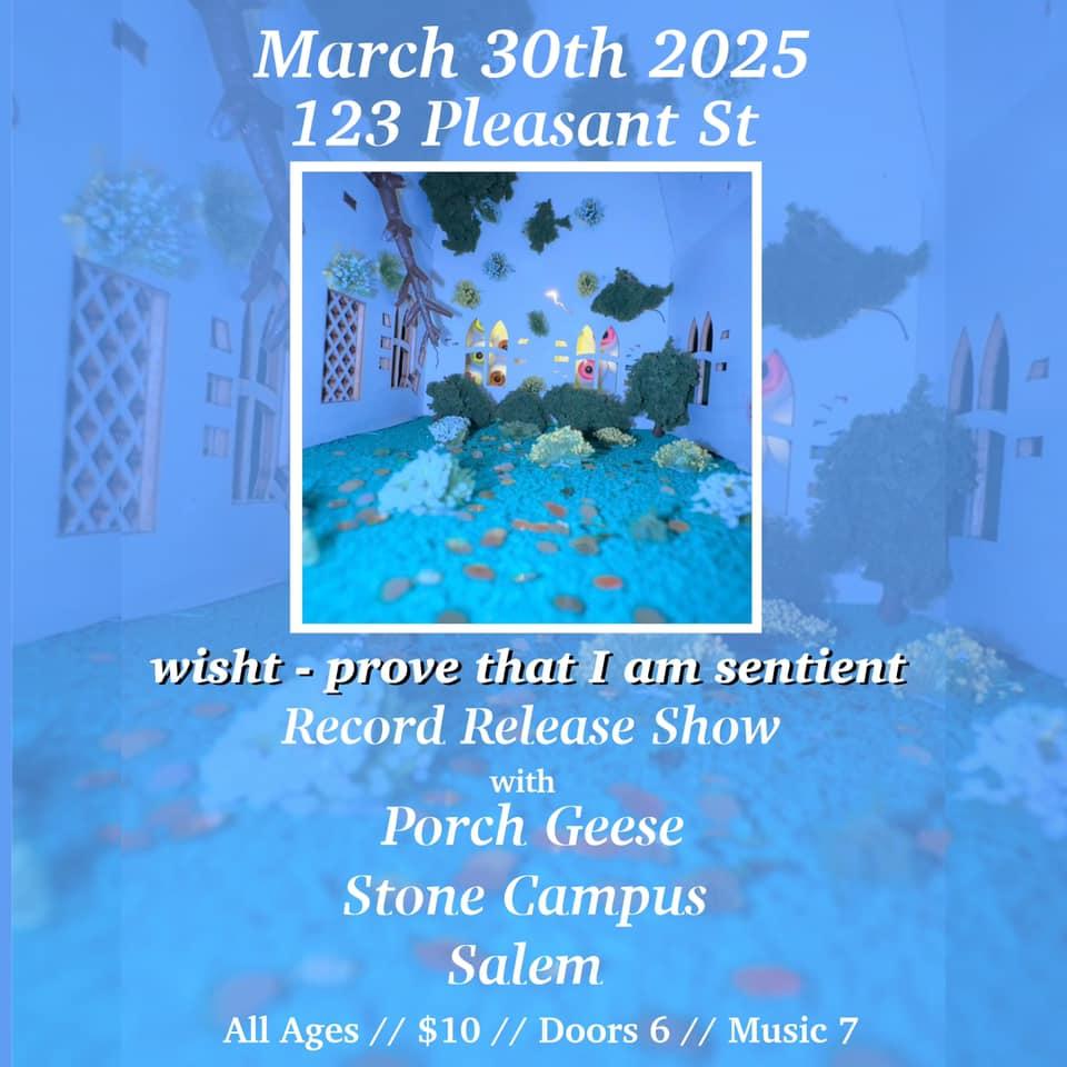 Tickets for Wisht Record Release Show feat. Porch Geese, Stone Campus ...