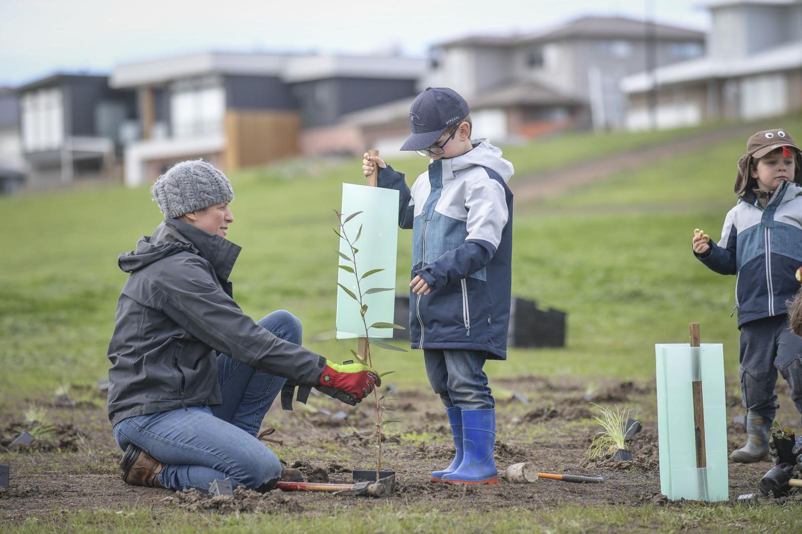 Tickets for National Tree Day Planting – St Albans Park in St Albans ...
