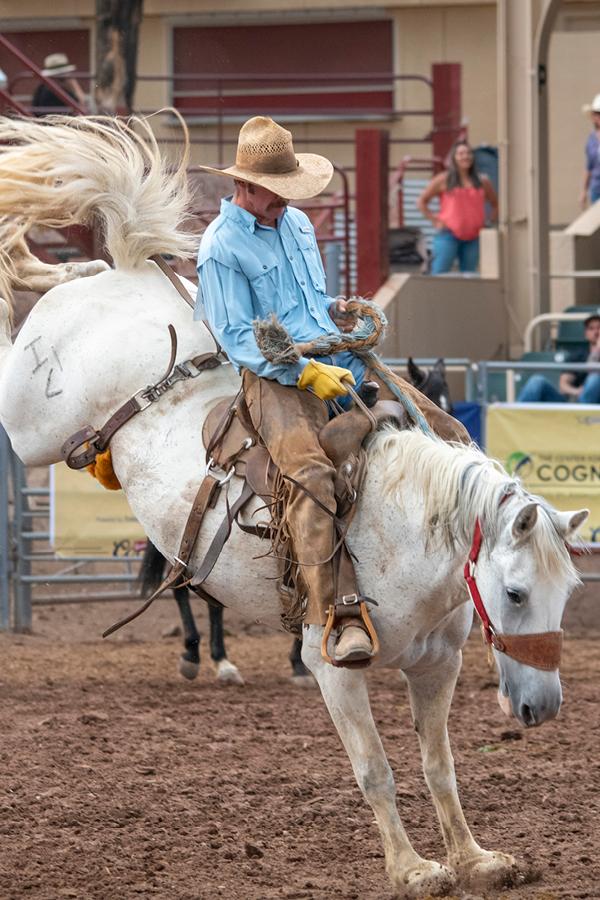 Tickets for Ride For The Brand Ranch Rodeo 2024 in Colorado Springs ...