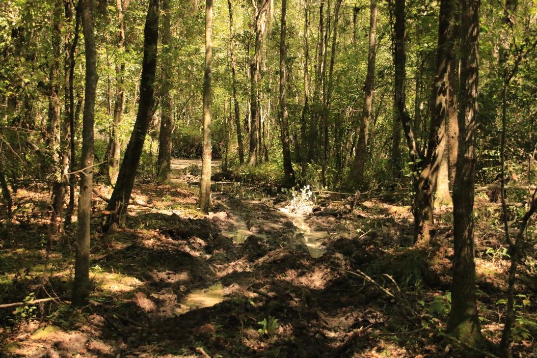 Tickets for March MUDness at The Graveyard in Jasper from ShowClix