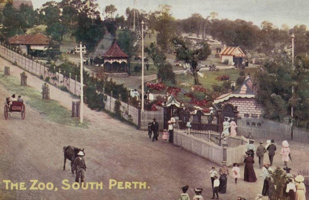 Tickets for Discovery Session - Perth Zoo 125 Years in Duncraig from ...