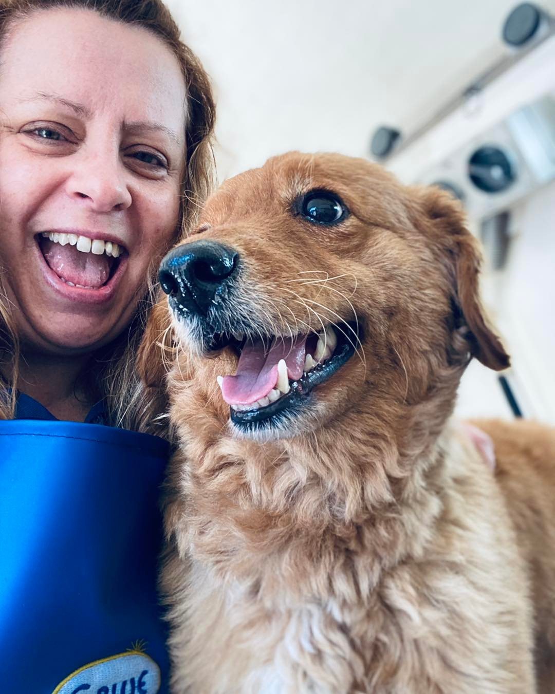 Tickets for Discovery Session – Dog Grooming 101 in Woodvale from ...