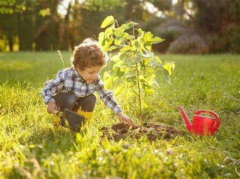 Tickets for Community Tree-Planting Day - NAIDOC 2024 in Kingsley from ...