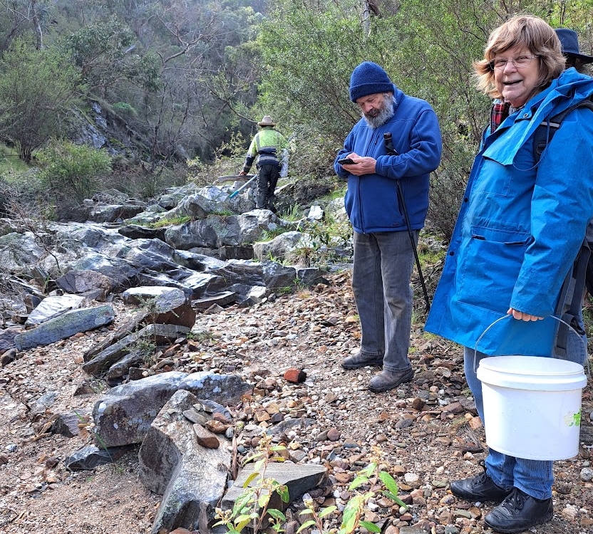Tickets for Nature Unplugged – Steiglitz Nature Walk in Steiglitz from ...
