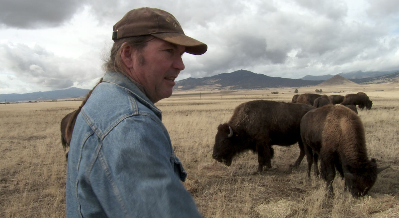 Tickets for Dancing Salmon Home (#3) in Palm Springs from ShowClix