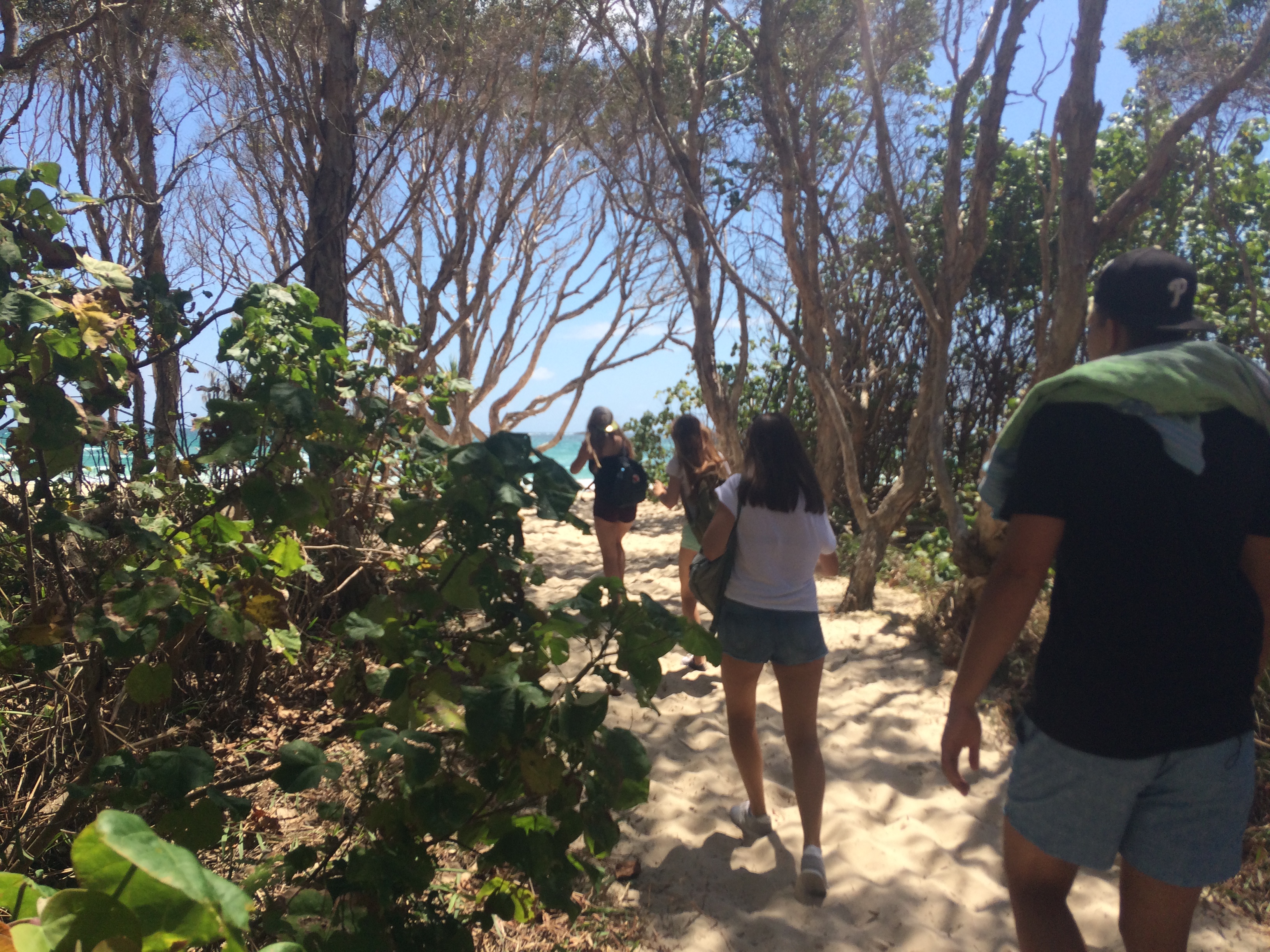 Tickets for Straddie Day Tour in North Stradbroke Island from Ticketbooth