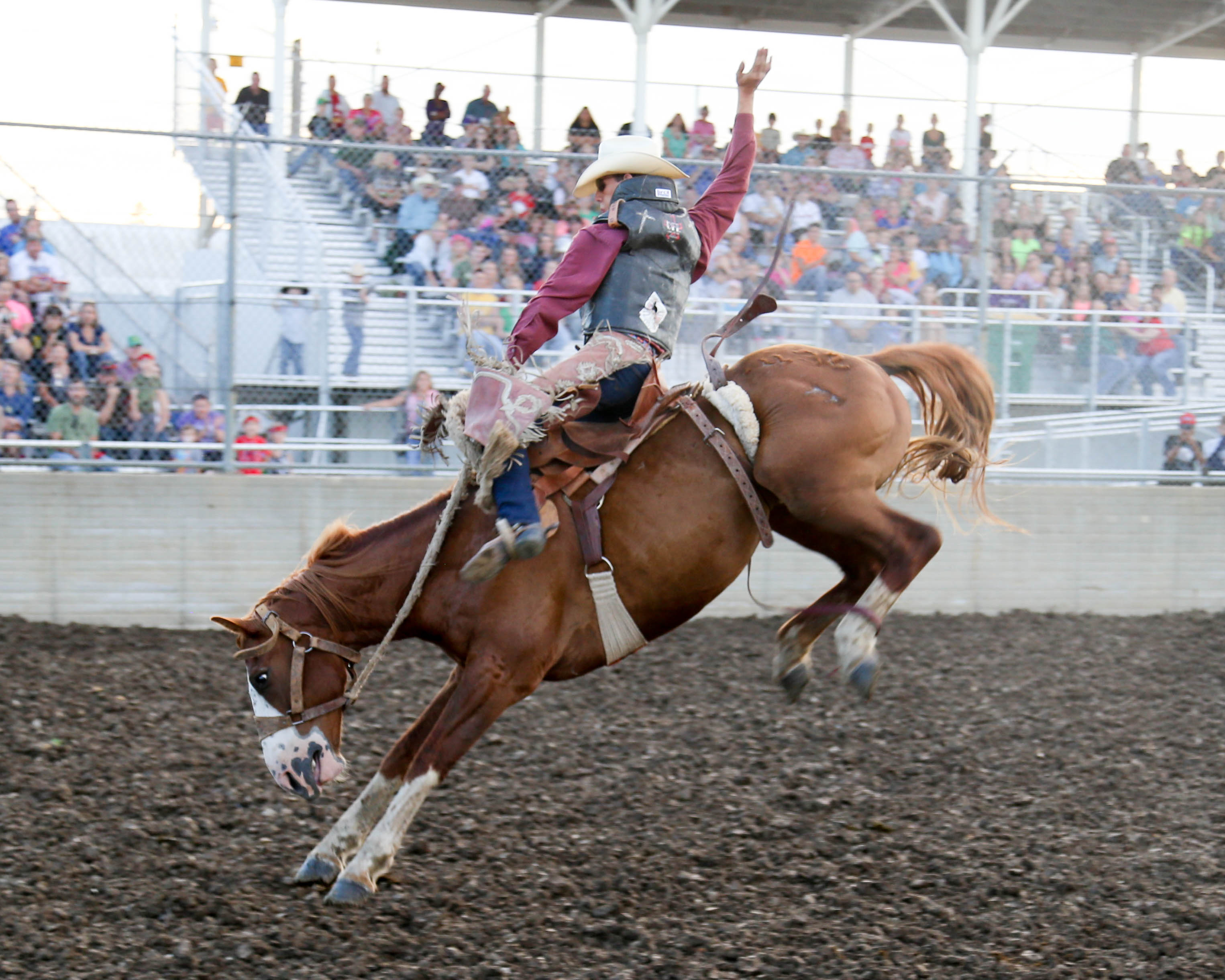 Tickets for Rodeo in Indianola from MIDWESTIX