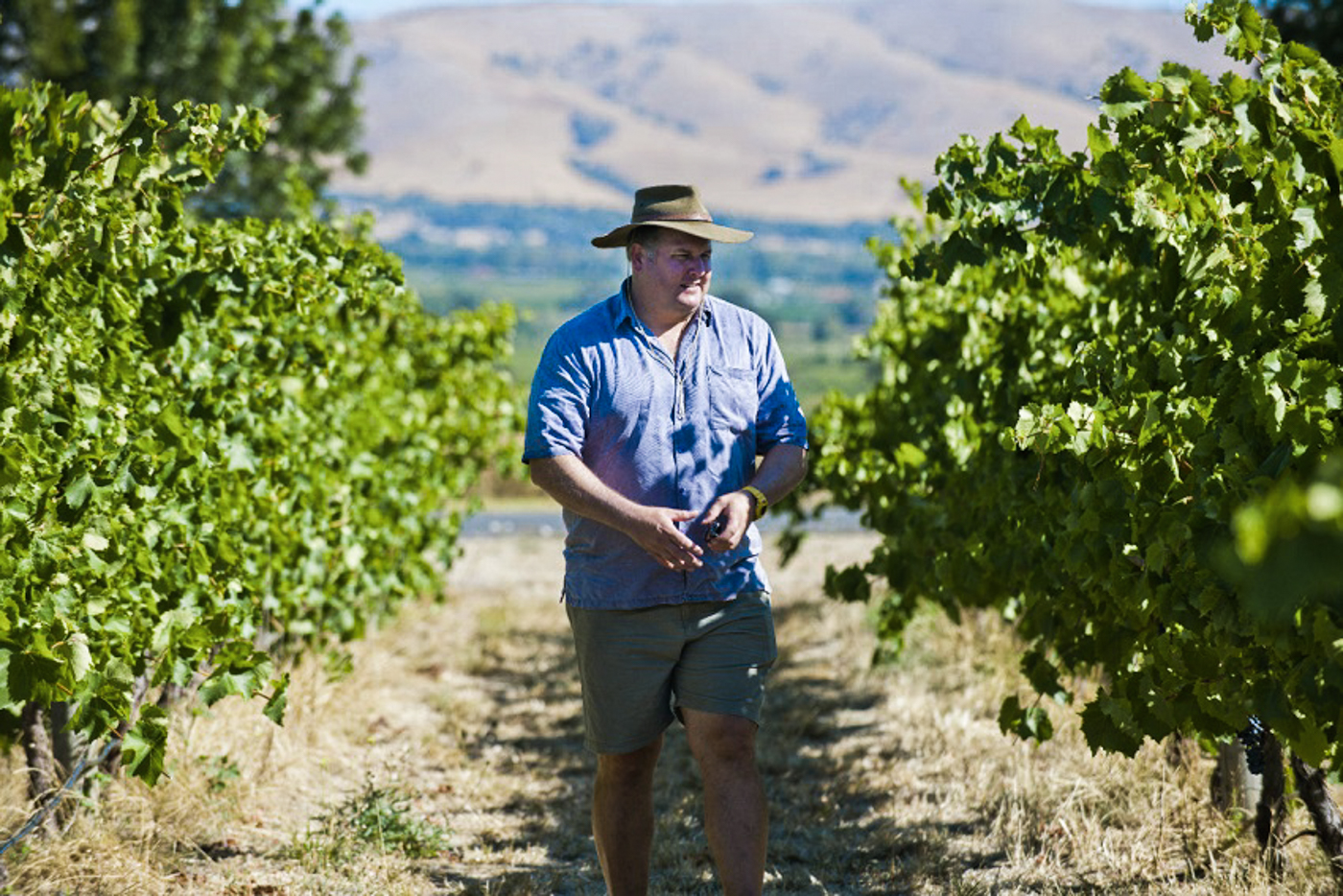 Tickets for Brash Higgins Wine Dinner in Perth from Ticketbooth