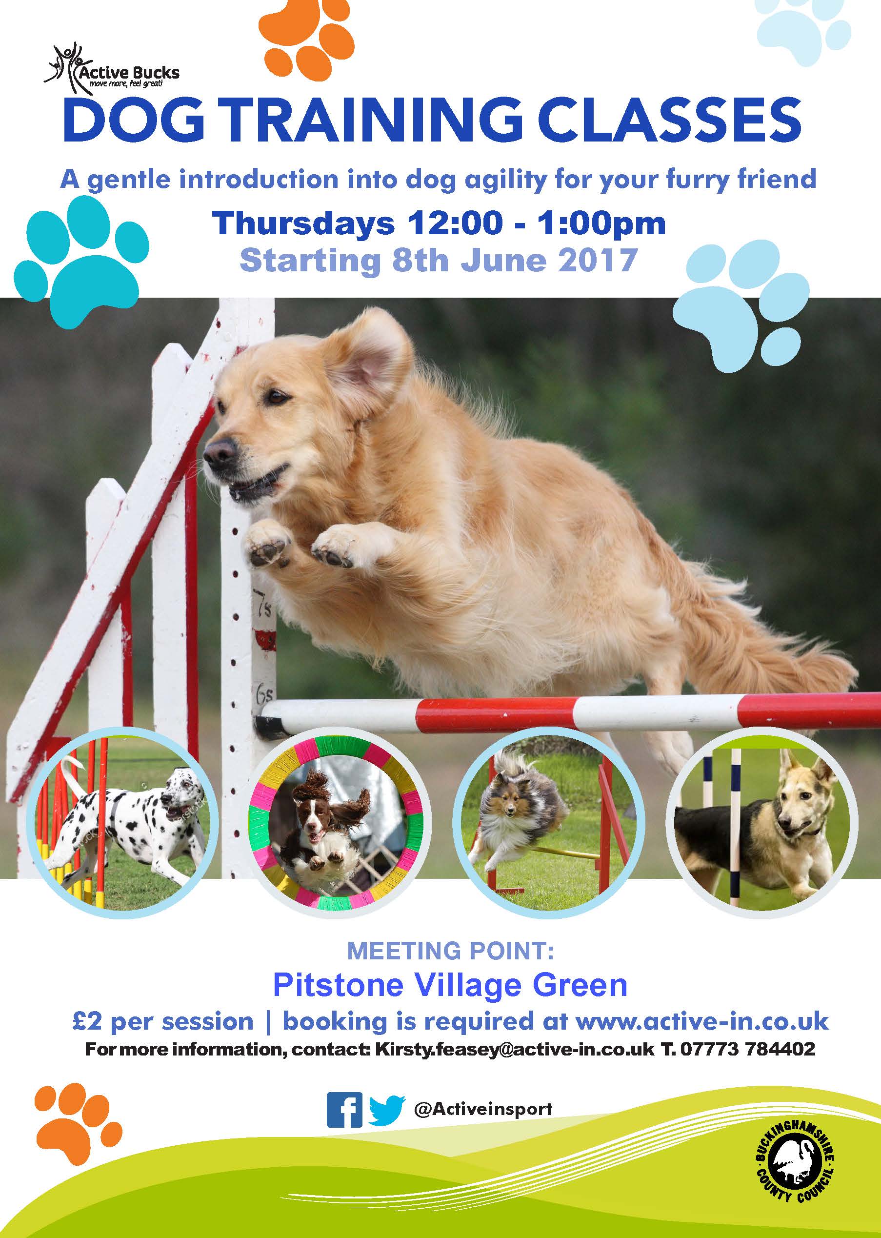 Tickets for Pitstone Dog Agility Session in Pitstone from Ticketbooth ...