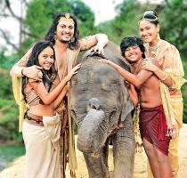 Tickets for “ALI KATHAWA” (Elephant Tale) in Glen Waverley from Ticketbooth