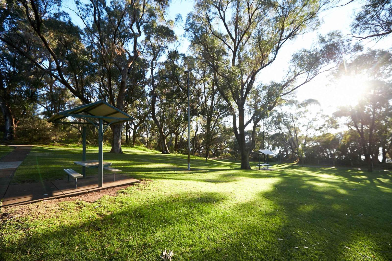 Tickets for WA Tree Festival: Discover Djeran in Joondalup from Ticketbooth