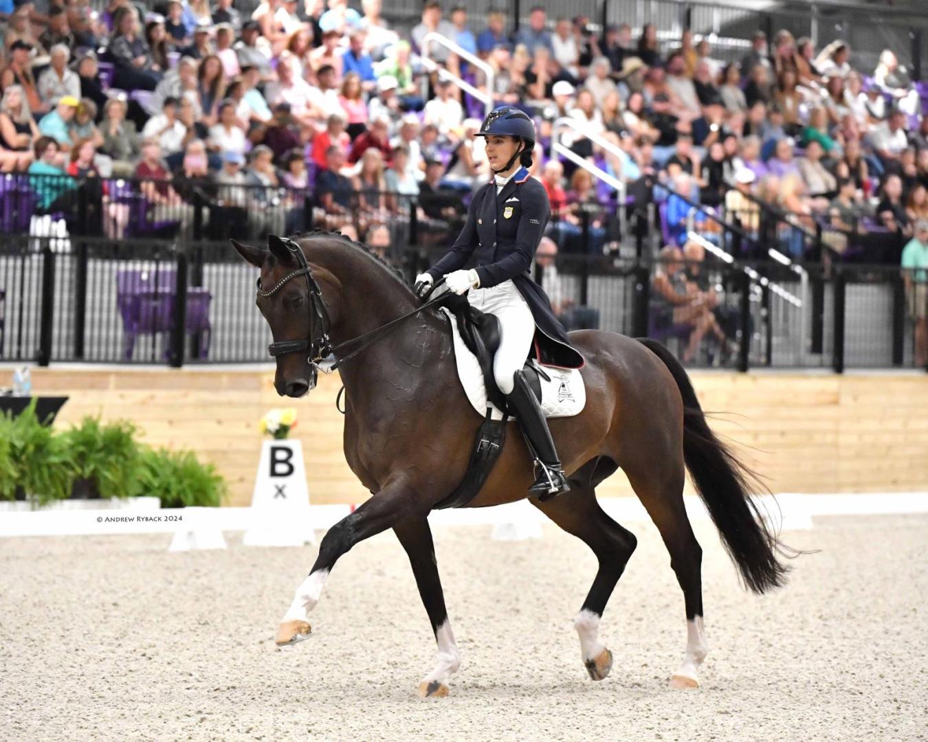 Tickets for 2025 Dressage Freestyle Series in Ocala from ShowClix