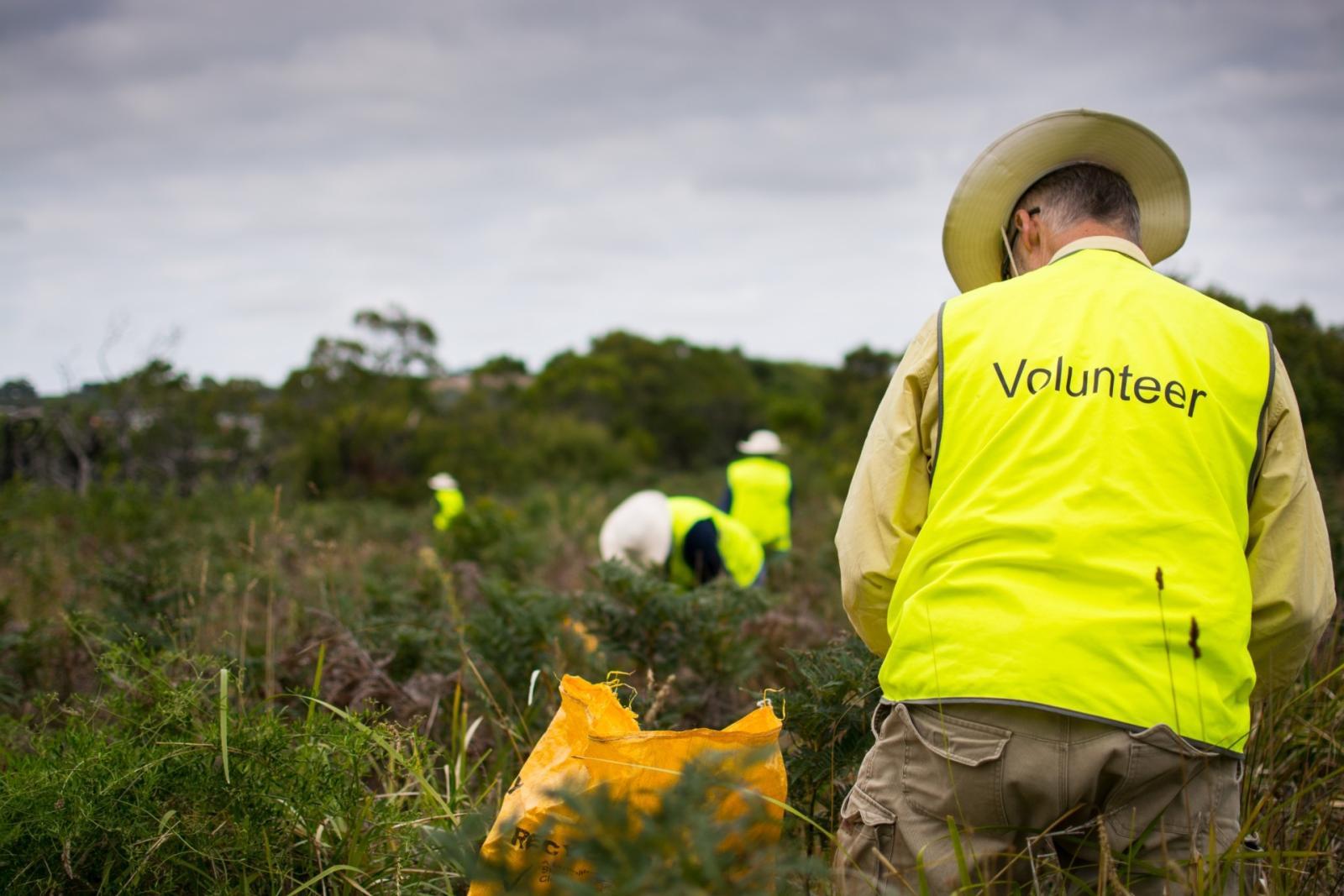 Tickets for Plant & Pull Working Bee – Point Richards in Portarlington ...